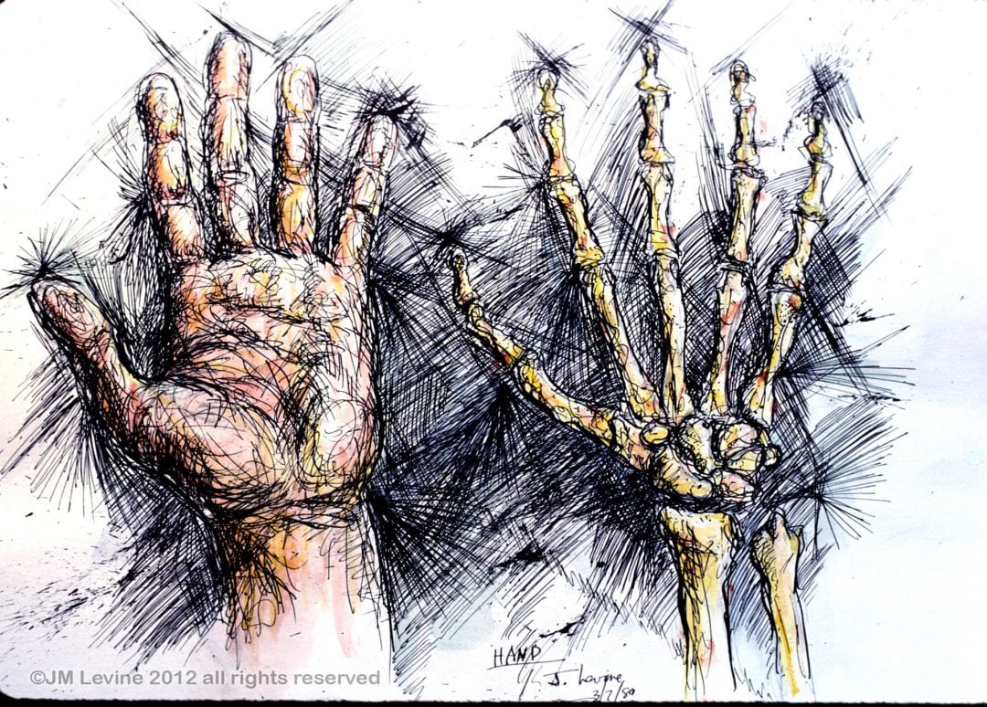 Medical School Memories - LevineArtStudio